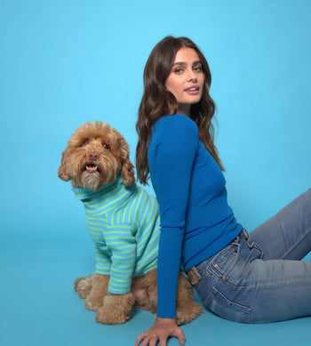 The Pack – Tate & Taylor